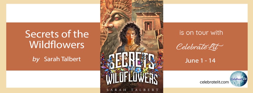 Secrets of the Wildflowers by Sarah Talbert Review and Giveaway ...